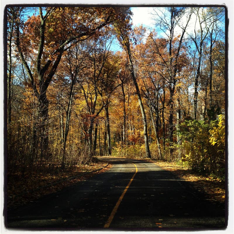 Forest drive stock image. Image of orange, light, peace - 53132201