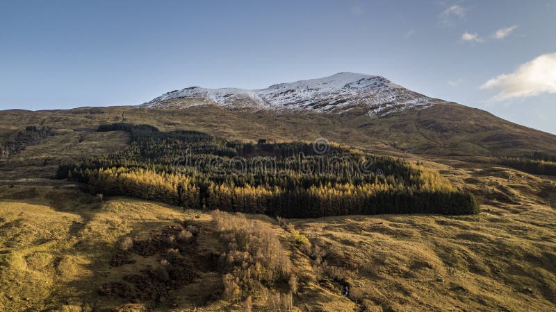 Forest and Dry Meadows with Snowy Mountain Stock Photo - Image of ...