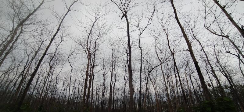 Blackandwahite Stock Photos - Free & Royalty-Free Stock Photos from ...