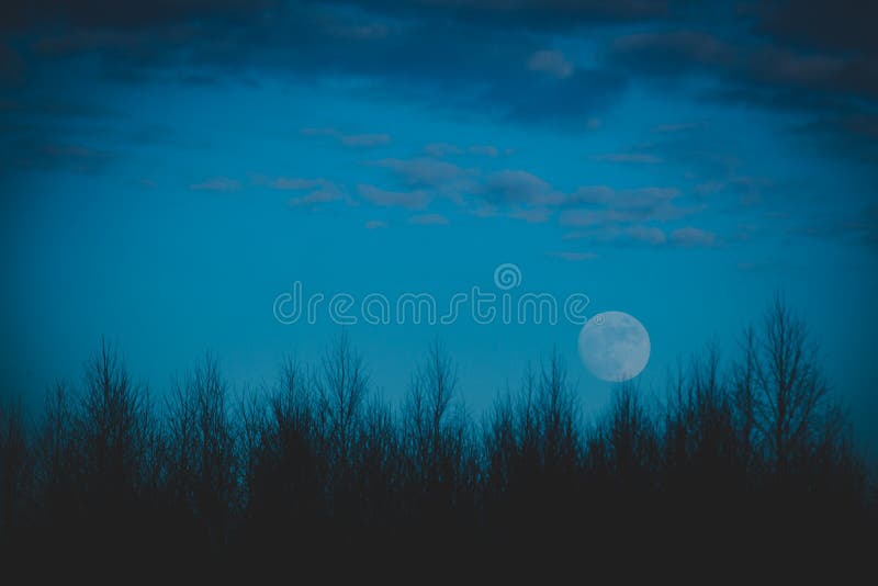 Forest at Dusk and Full Moon Stock Photo - Image of late, trees: 120269812