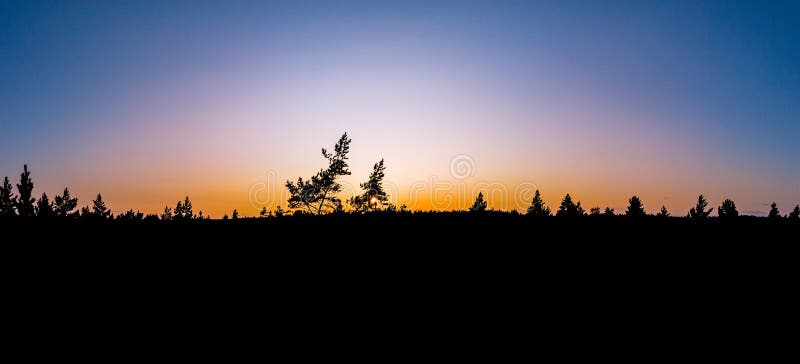 Forest in early fall stock photo. Image of evergreen - 156825506