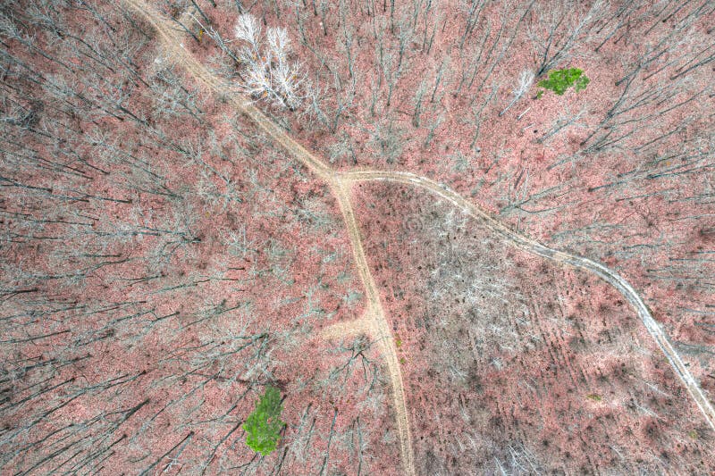 Mountain View High School Map Layout Stock Photos - Free & Royalty-Free ...