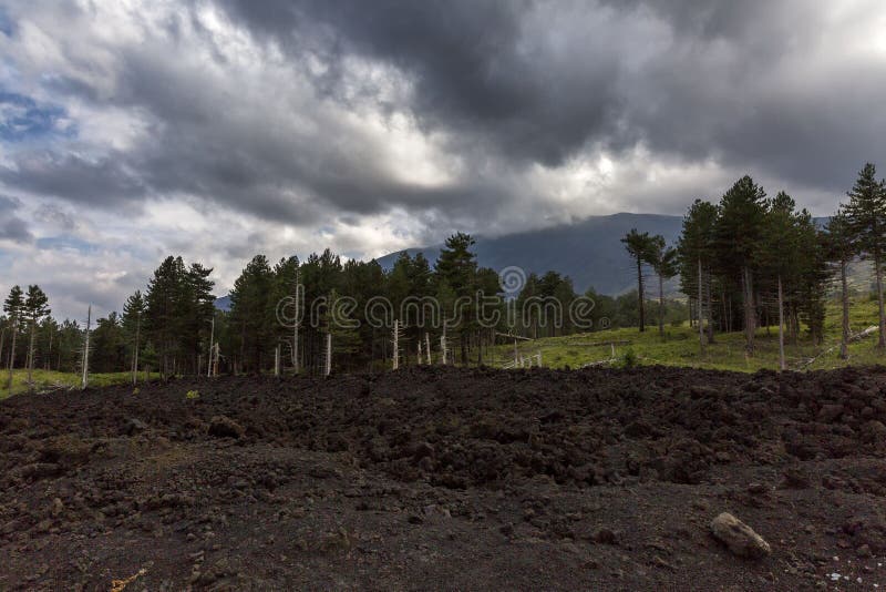 Forest, Earth and Gloomy Cloudy Sky at the Top of the Volcano ...