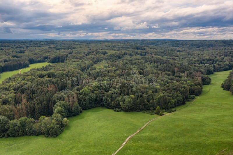 Forest_edge stock photo. Image of edge, summer, area - 184146468