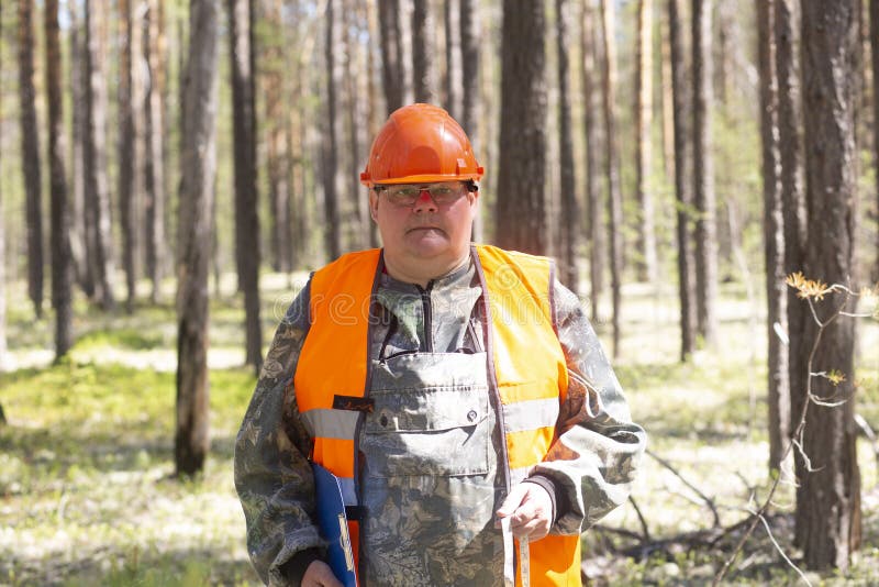 A Forest Engineer Conducts a Survey of the Forest for Logging Stock ...