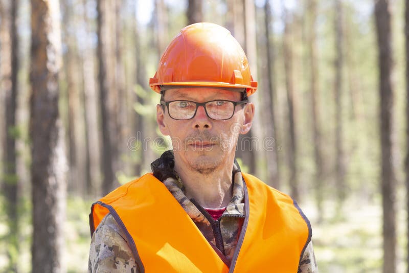 A Forest Engineer Conducts a Survey of the Forest for Logging Stock ...