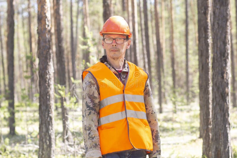 A Forest Engineer Conducts a Survey of the Forest for Logging Stock ...