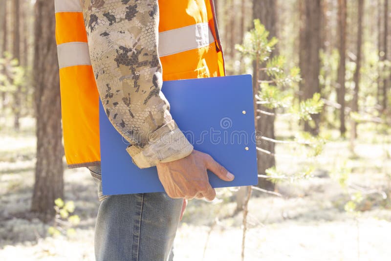 A Forest Engineer Conducts a Survey of the Forest for Logging Stock ...