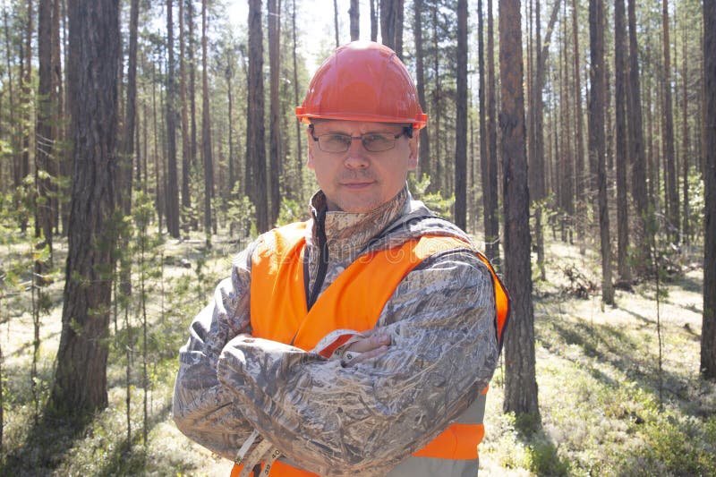 A Forest Engineer Conducts Tree Research in the Forest Stock Image ...