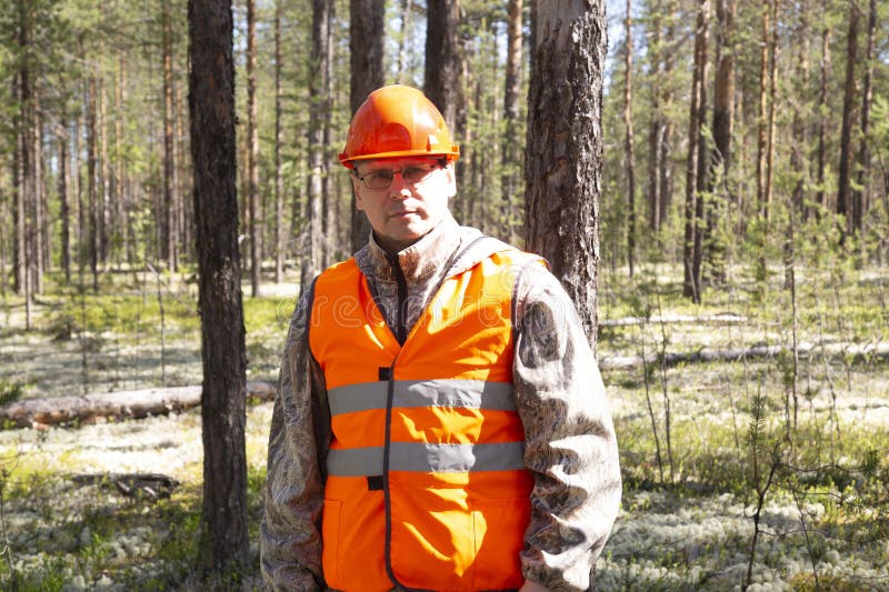 A Forest Engineer Conducts Tree Research in the Forest Stock Photo ...