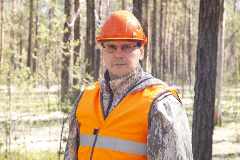 A Forest Engineer Conducts Tree Research in the Forest Stock Image ...