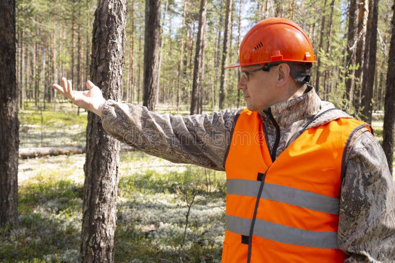 A Forest Engineer Conducts Tree Research in the Forest Stock Image ...