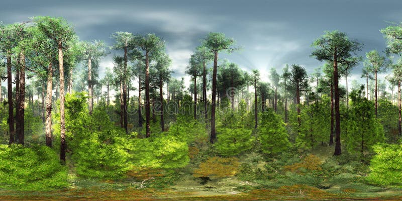 Forest , Environment Map , Round Panorama Stock Illustration ...