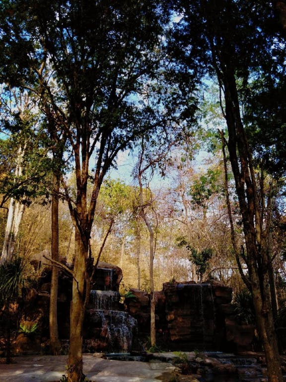 Forest in Erawan Cave Temple Editorial Stock Image - Image of travel ...
