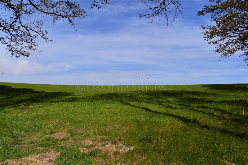 Forest exit stock image. Image of trees, dense, garden - 44199449