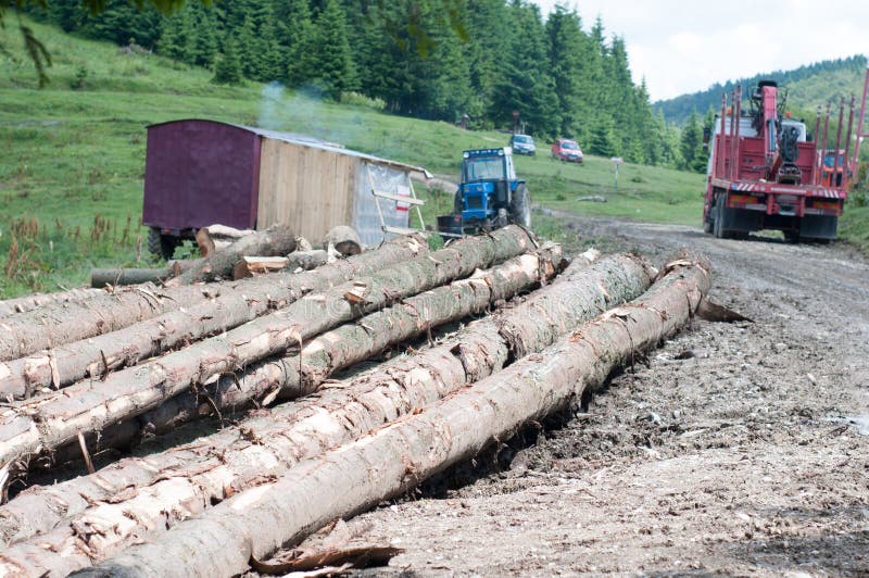 Forest exploitation stock image. Image of back, logging - 56410771