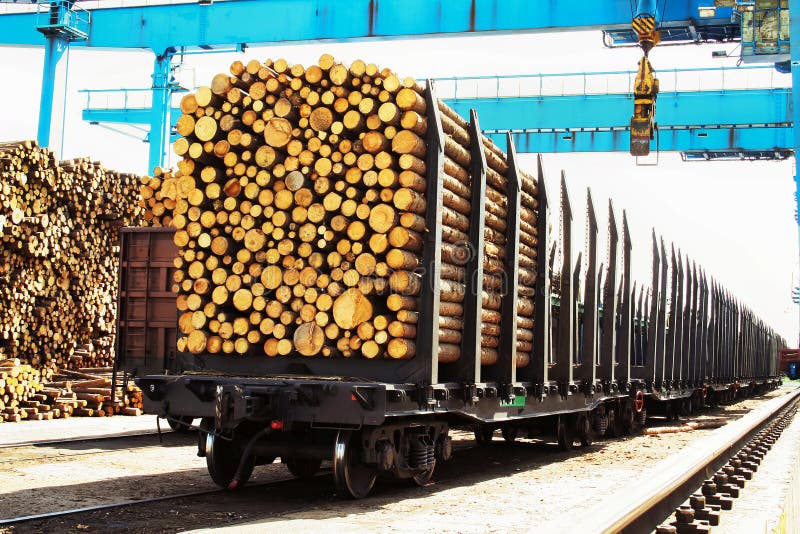 Forest Export. Transportation of Timber by Rail Cars Stock Photo ...