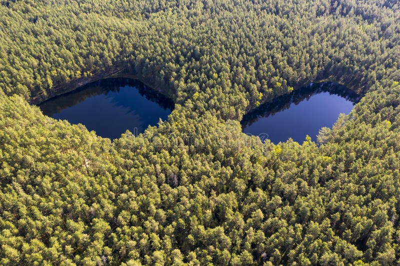 Forest Face, Forest Eyes. Two Small Lakes in Forest, Aerial View Stock ...