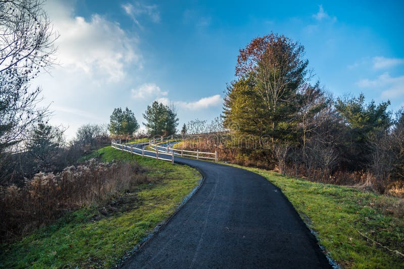 Forest in fall time stock photo. Image of curved, season - 187461816