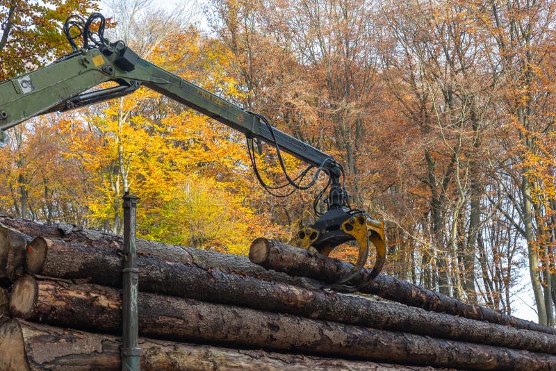 In a Forest a Truck Crane Moves Logs Onto the Truck Stock Image - Image ...