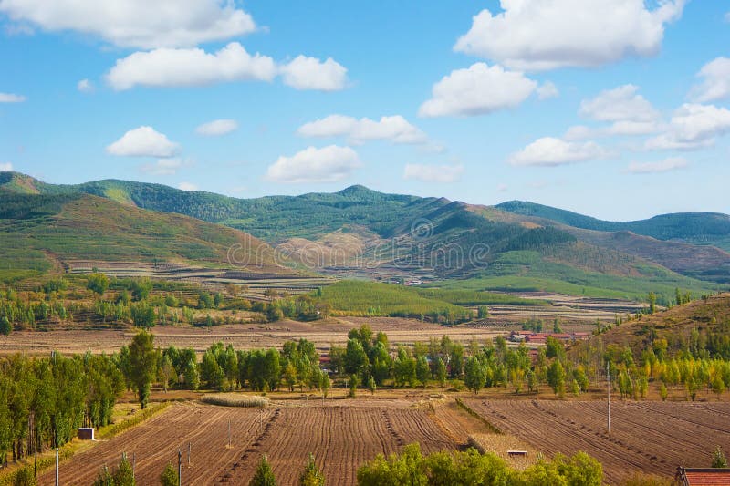 Forest and farmland stock image. Image of season, agriculture - 21836593