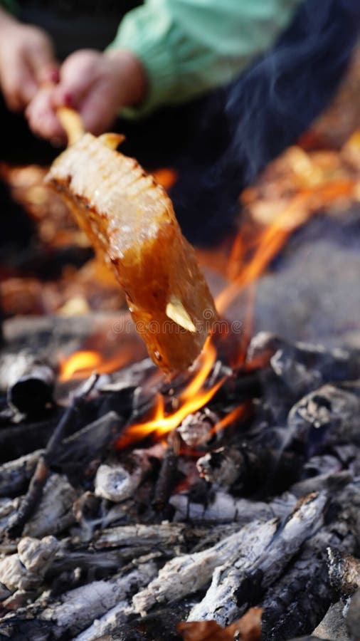 Forest Fat Nature Autumn Food Rest in the Forest Stock Photo - Image of ...