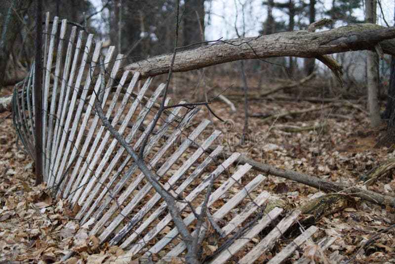 Forest Fence Leaning and Falling Stock Photo - Image of lounge ...