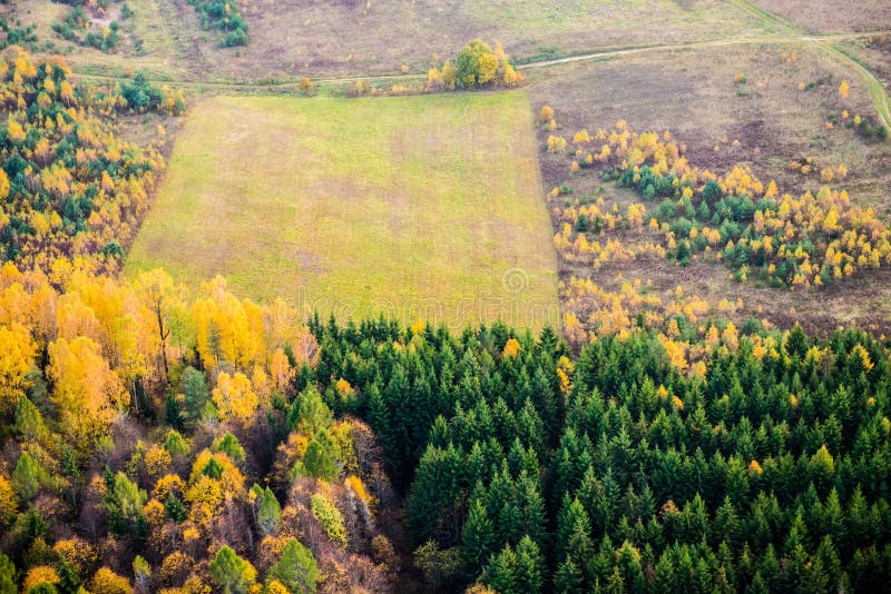 Forest and Field from Above Stock Photo - Image of saturation, straight ...