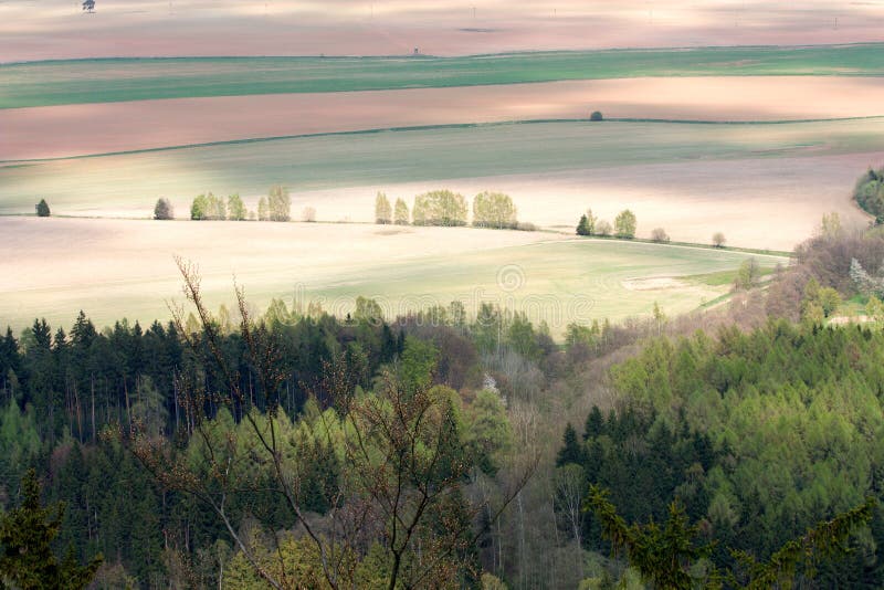 Forest and field stock image. Image of aerial, outside - 36334585
