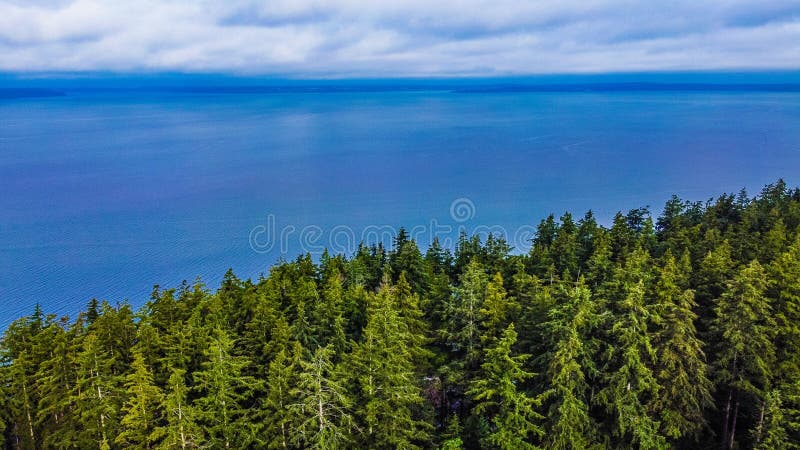 Forest with Fir Trees with a Lake on the Side Stock Photo - Image of ...