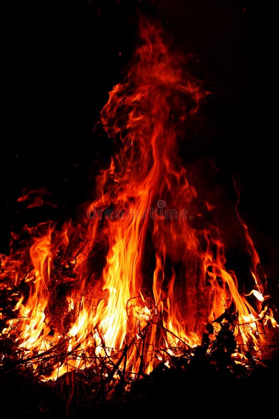 Forest fire stock image. Image of inferno, hell, bonfire - 1227273