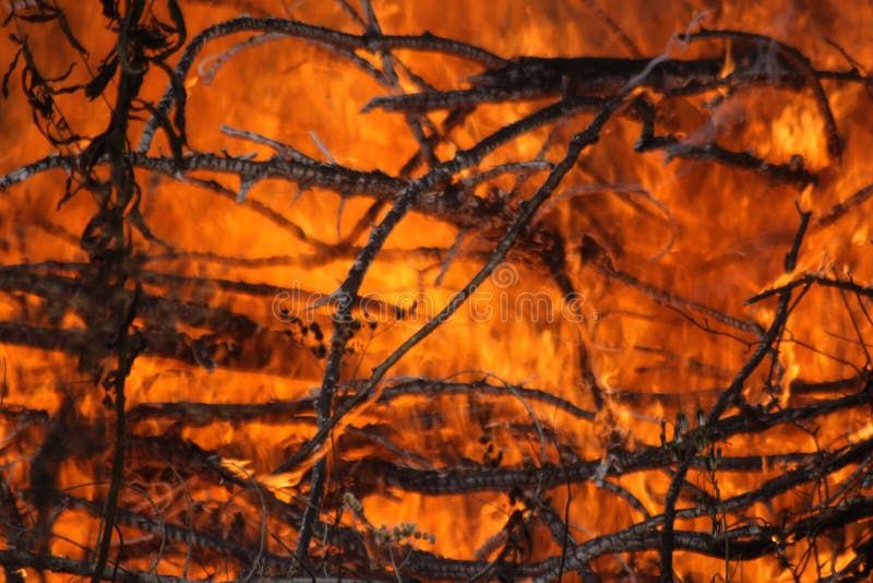 212 Fire Department Backdrop Stock Photos - Free & Royalty-Free Stock ...