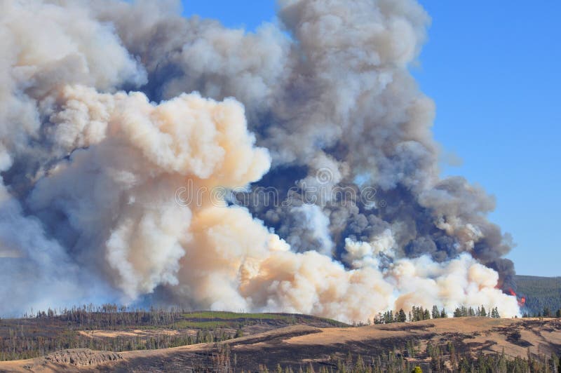 Forest fire stock photo. Image of fire, danger, explosion - 18279926