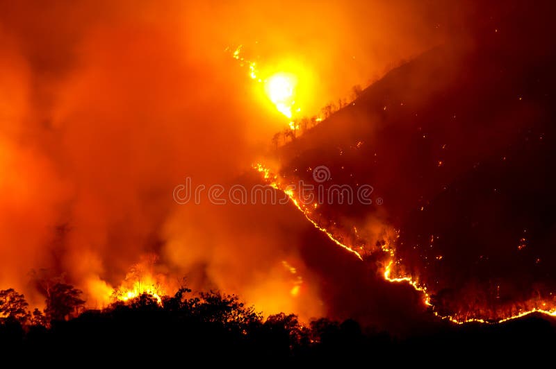 Forest fire stock photo. Image of trees, forest, wildfire - 19066662