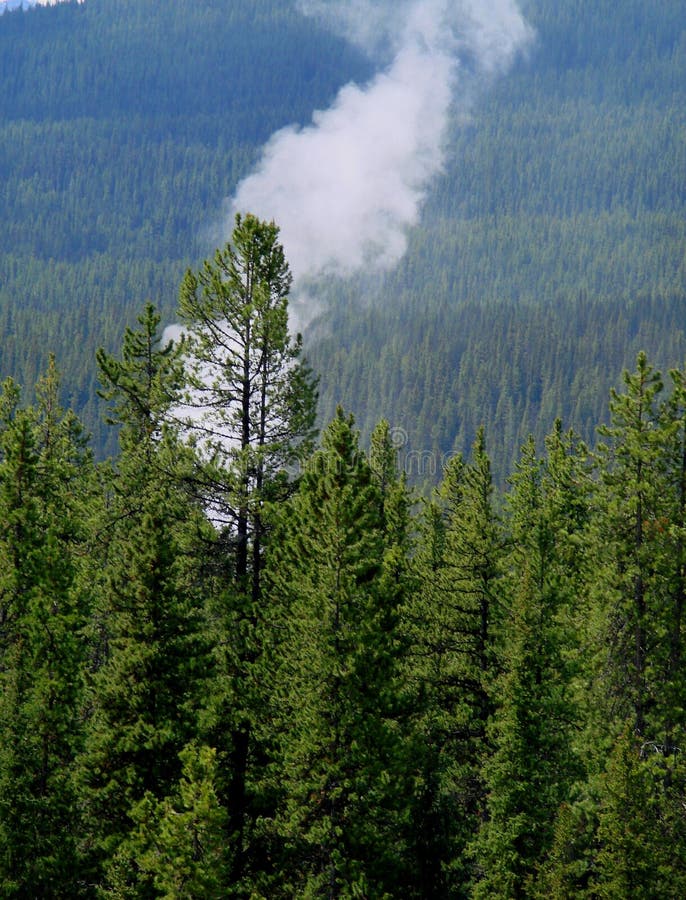 Forest Fire stock image. Image of force, emit, burn, forest - 7606743