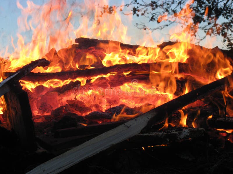 Forest fire 8 stock photo. Image of burn, hike, camp, bonfire - 2865886