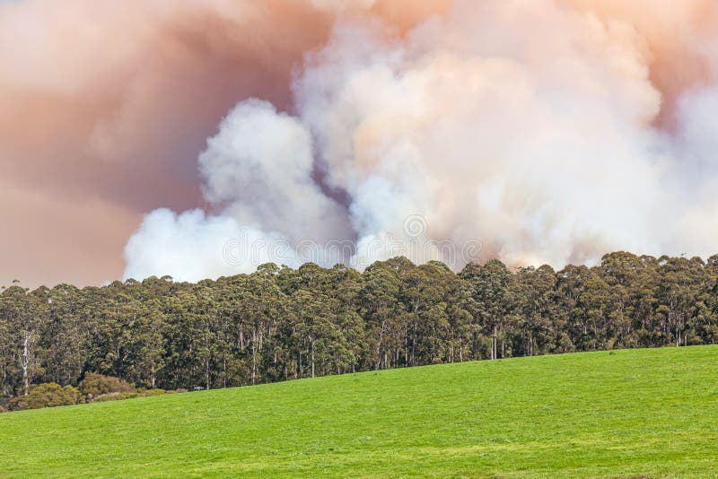 Forest Fire in Australia stock photo. Image of outback - 82913566