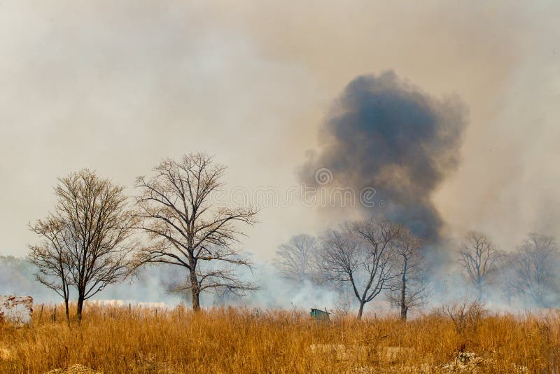 Forest Fire in the Autumn Season. Stock Photo - Image of flame, climate ...