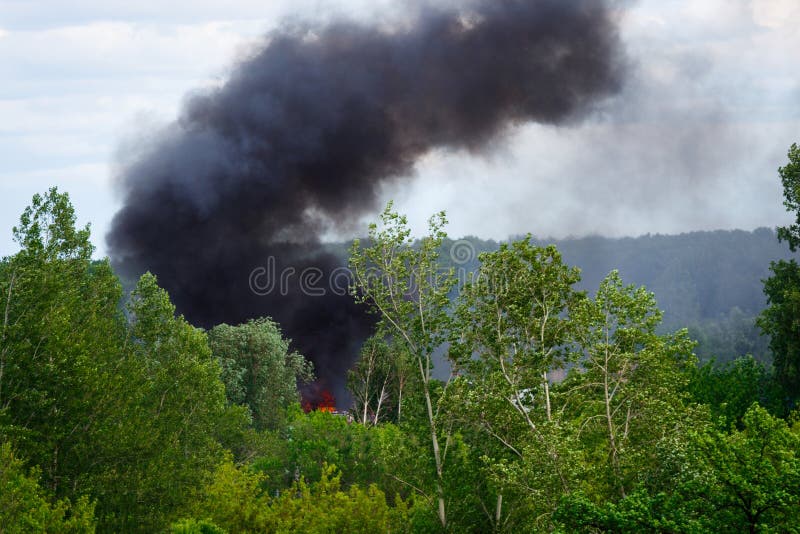 Forest Fire with Black Smoke Stock Image - Image of smoke, landscape ...