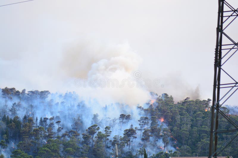 Forest Fire. Burned Trees after Wildfire, Pollution and a Lot of Smoke ...