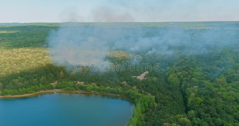 Forest Fire Burned Trees after Wildfire, Pollution a Lot of Smoke Stock ...