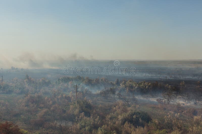 Forest Fire. Burned Trees after Wildfire, Pollution Editorial Stock ...