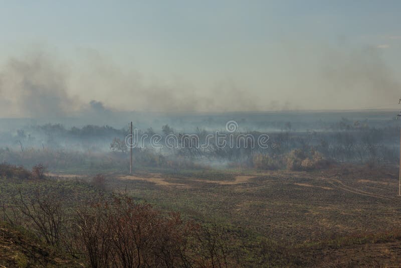 Forest Fire. Burned Trees after Wildfire, Pollution Stock Photo - Image ...