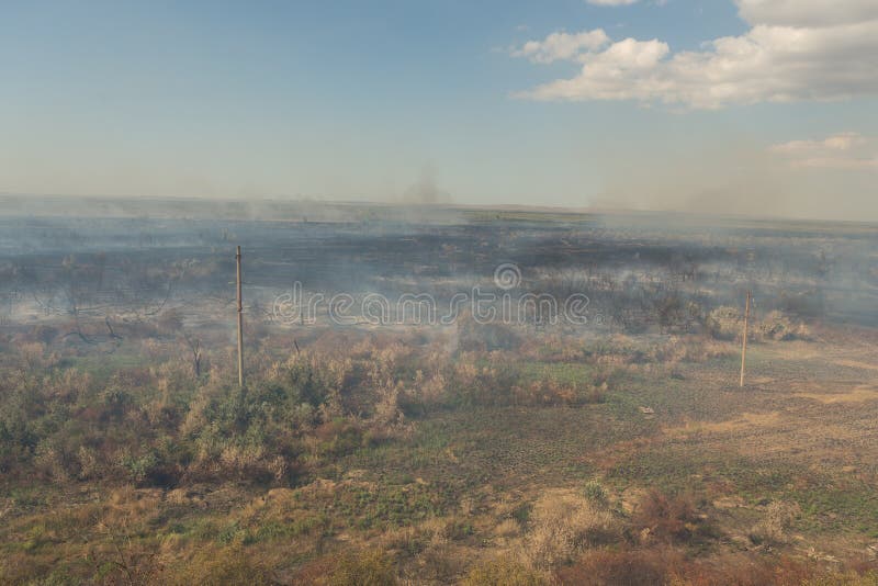 Forest Fire. Burned Trees after Wildfire, Pollution Stock Image - Image ...