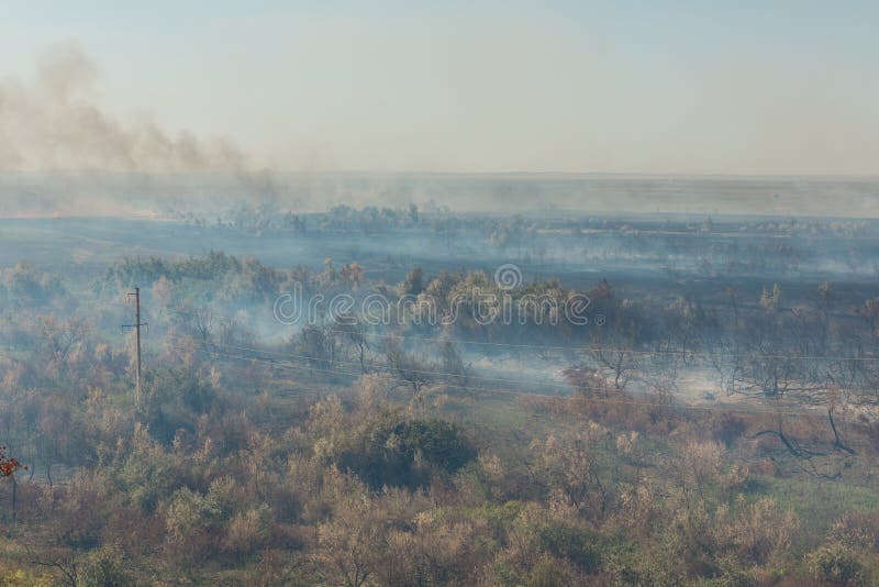 Forest Fire. Burned Trees after Wildfire, Pollution Stock Photo - Image ...