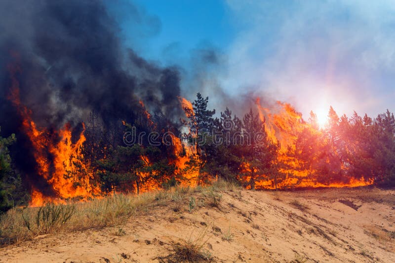 23+ Wildfire pollution Free Stock Photos - StockFreeImages