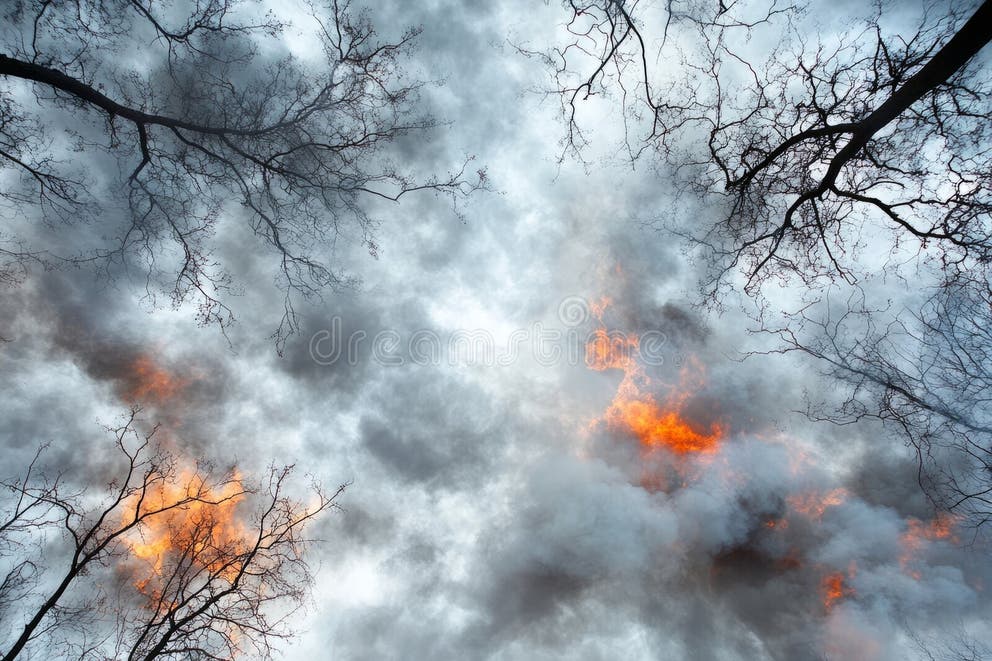 Forest Fire Burning with Billowing Smoke and Flames Creating Dramatic ...