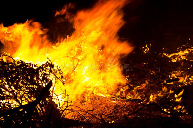 Forest Fire Burning stock image. Image of flame, summer - 71211411