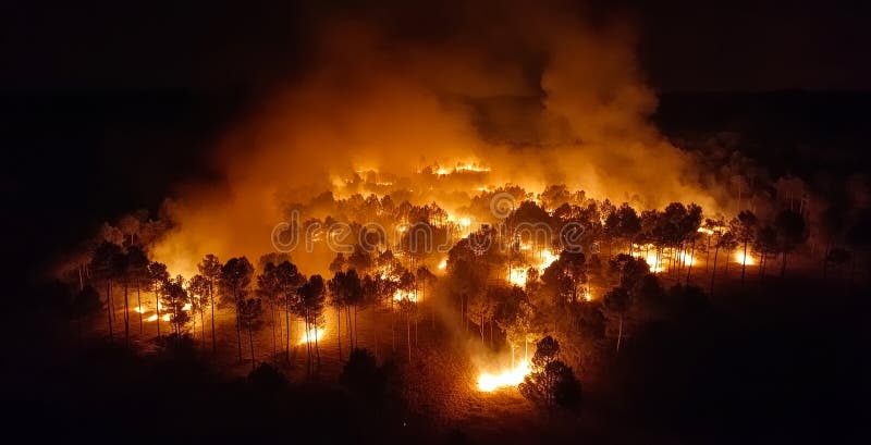 A Forest Fire is Burning in the Night Sky Stock Image - Image of flames ...