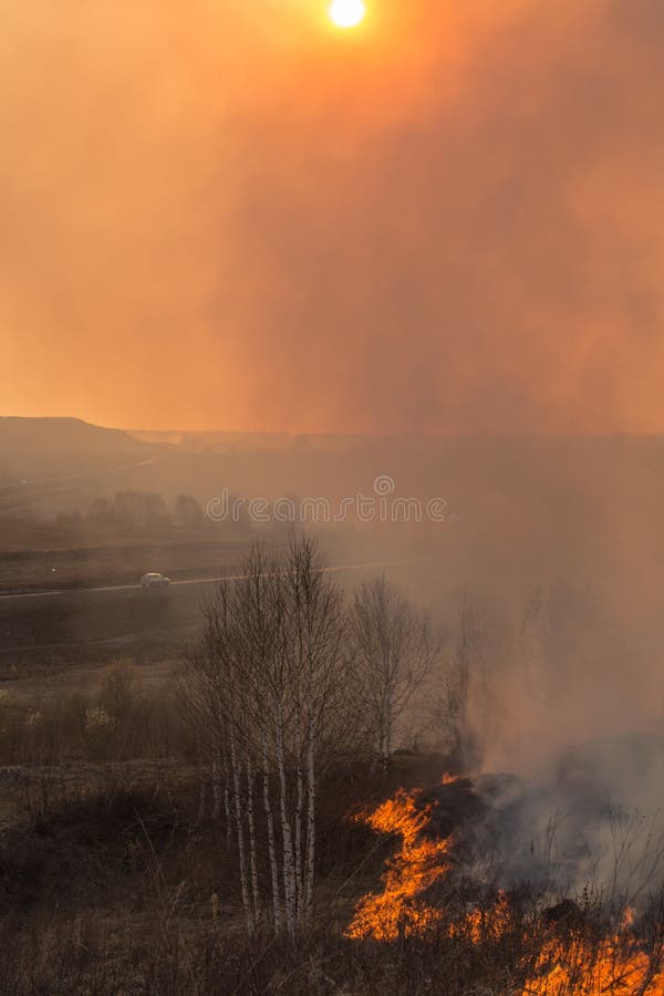 Forest Fire Burning, Wildfire Close Up at Day Time Stock Image - Image ...